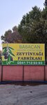 Babacan Zeytinyağı Fabrikası (Altıntaş Mah., Ahmet Besim Uyal Cad., No:56D, Urla, İzmir), gıda üreticileri  Urla'dan