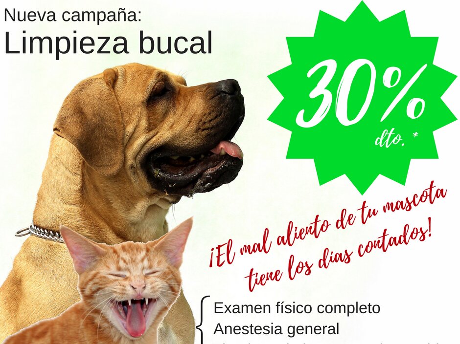Evcil hayvan kuaförleri Anisalud Centro Veterinario S. L., Madrid, foto