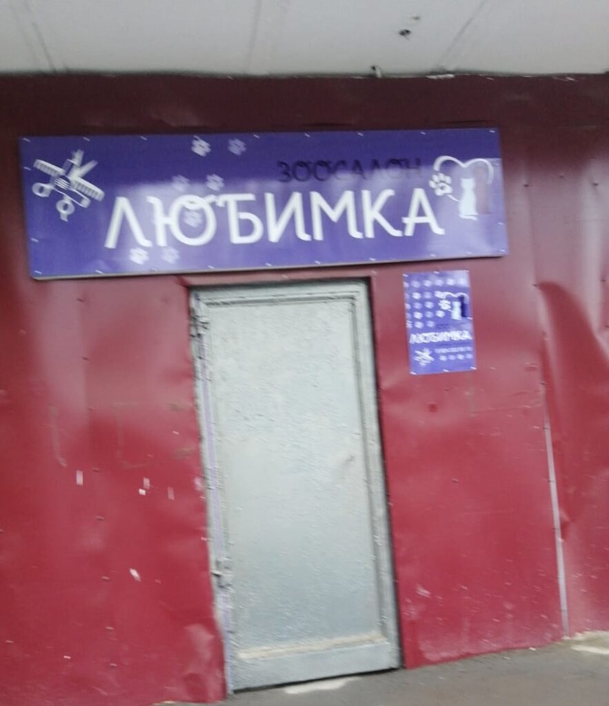 Evcil hayvan kuaförleri Любимка, Artem, foto