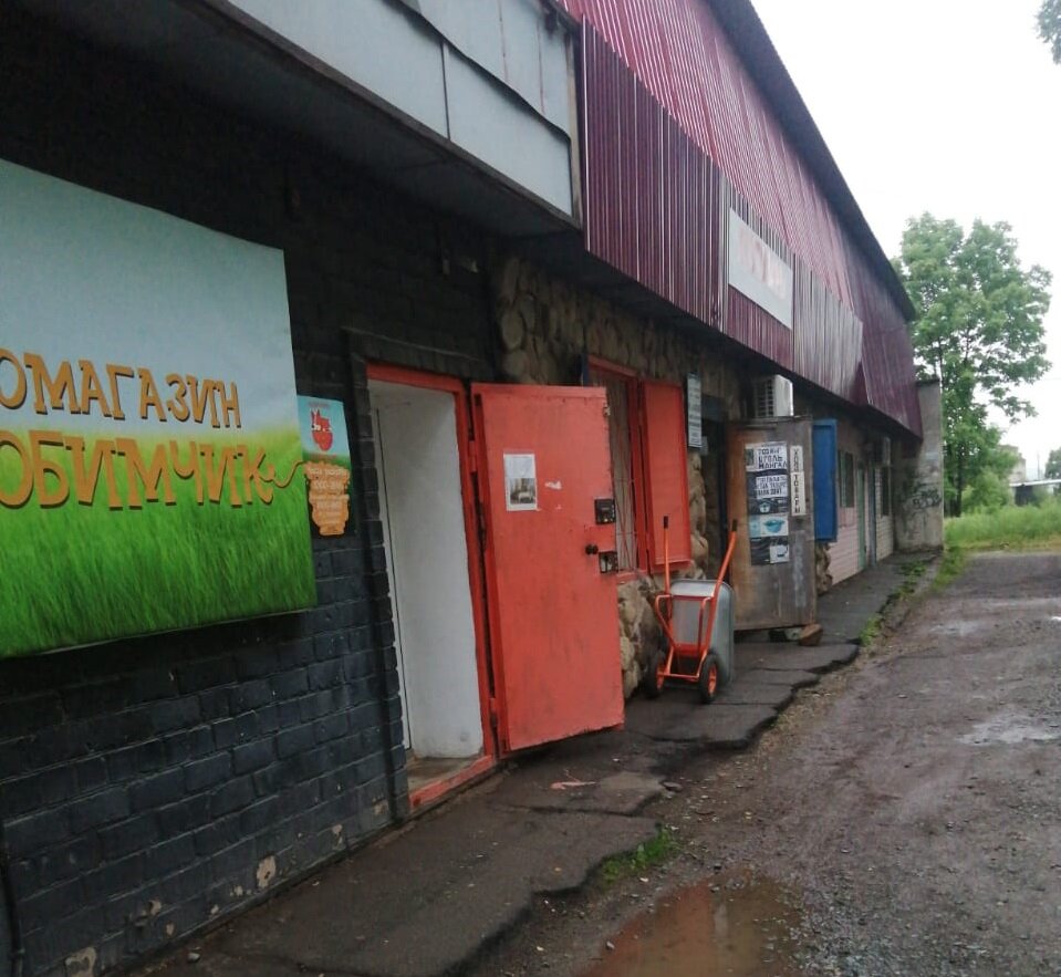 Petshop Любимчик, Artem, foto