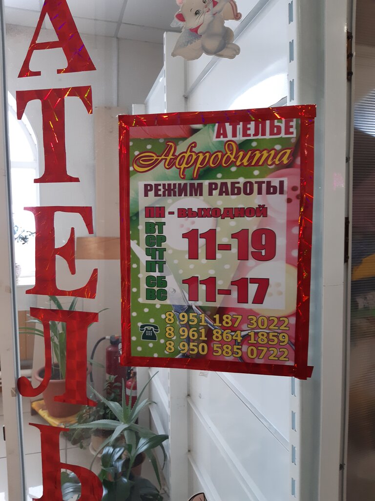 Terziler Afrodita, Kiseliovsk, foto