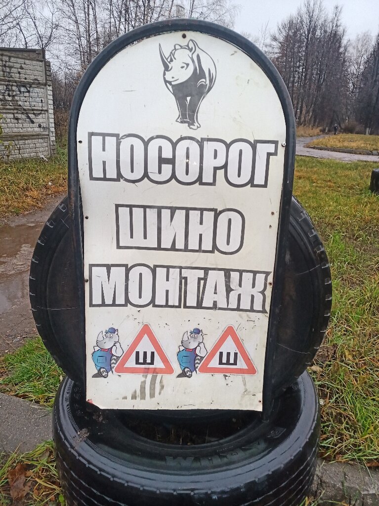 Jant ve lastikçiler Шинный центр Носорог, Yaroslavl, foto