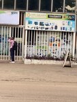 Son Galaxy (Brazzaville, Avenue des Trois Martyrs), elektronik eşya mağazaları  Brazzaville'den