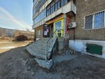 Dar (Galeto street No:51), market  Semey'den