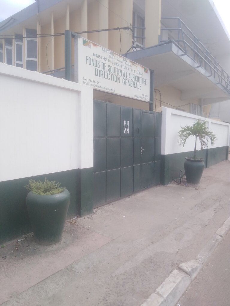 Devlet kurumları ve bakanlıklar Ministère De L'agriculture Et De L'élevage, Brazzaville, foto