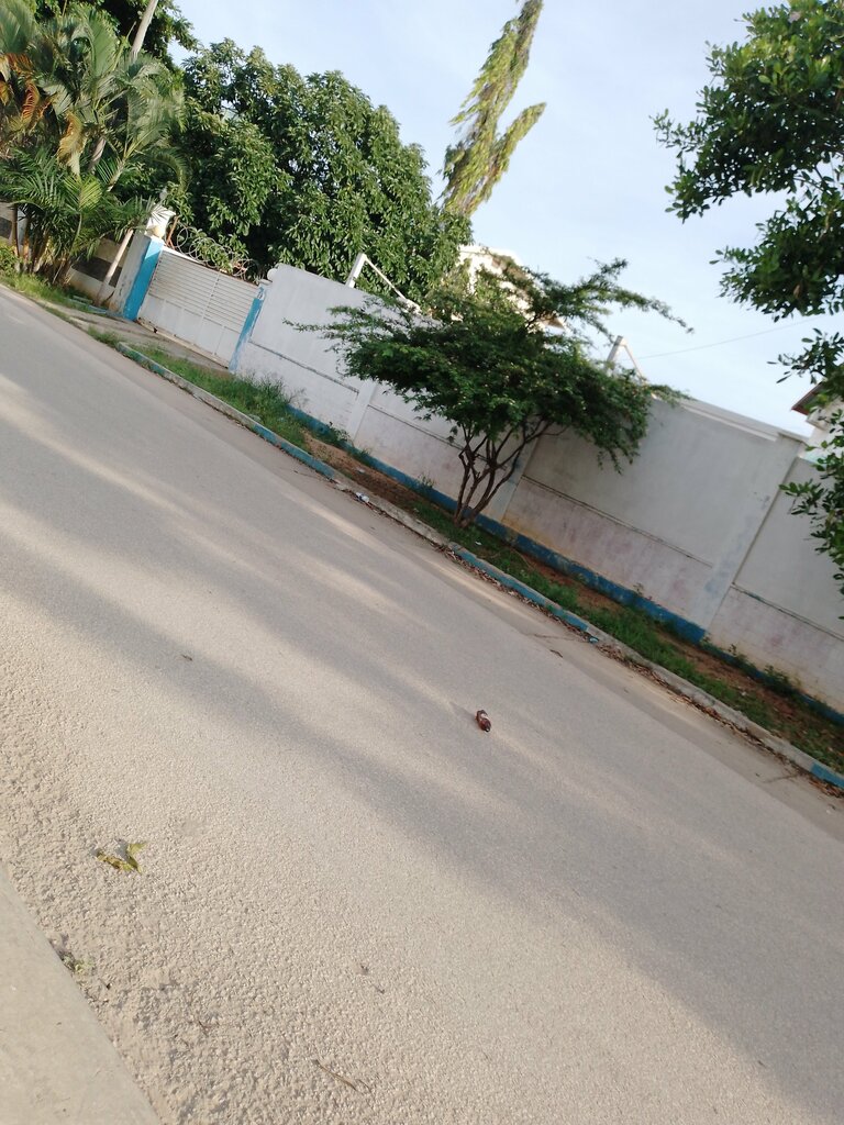 Eğitim merkezleri ATL NOVA VIDA Centro Internacional de Enriquecimento Curricular, Loanda, foto
