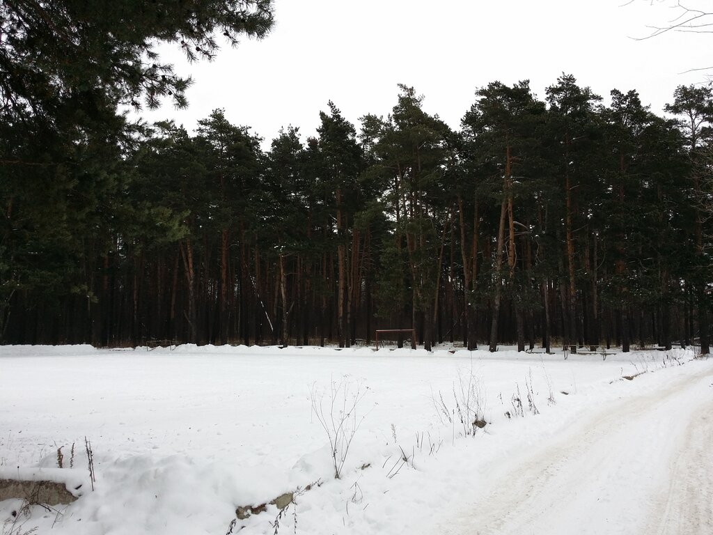 Spor alanı Футбольное поле, Moskova ve Moskovskaya oblastı, foto