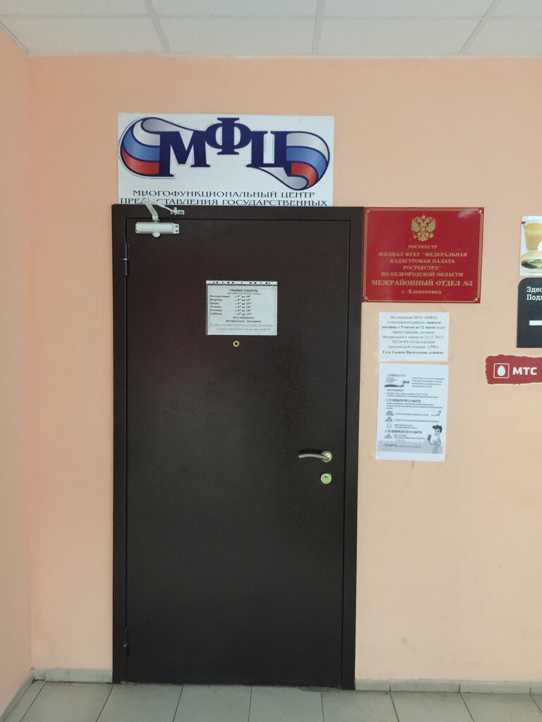 Belediye ve kamu hizmetleri merkezi MFTs Moi Dokumenty, Alekseyevka, foto