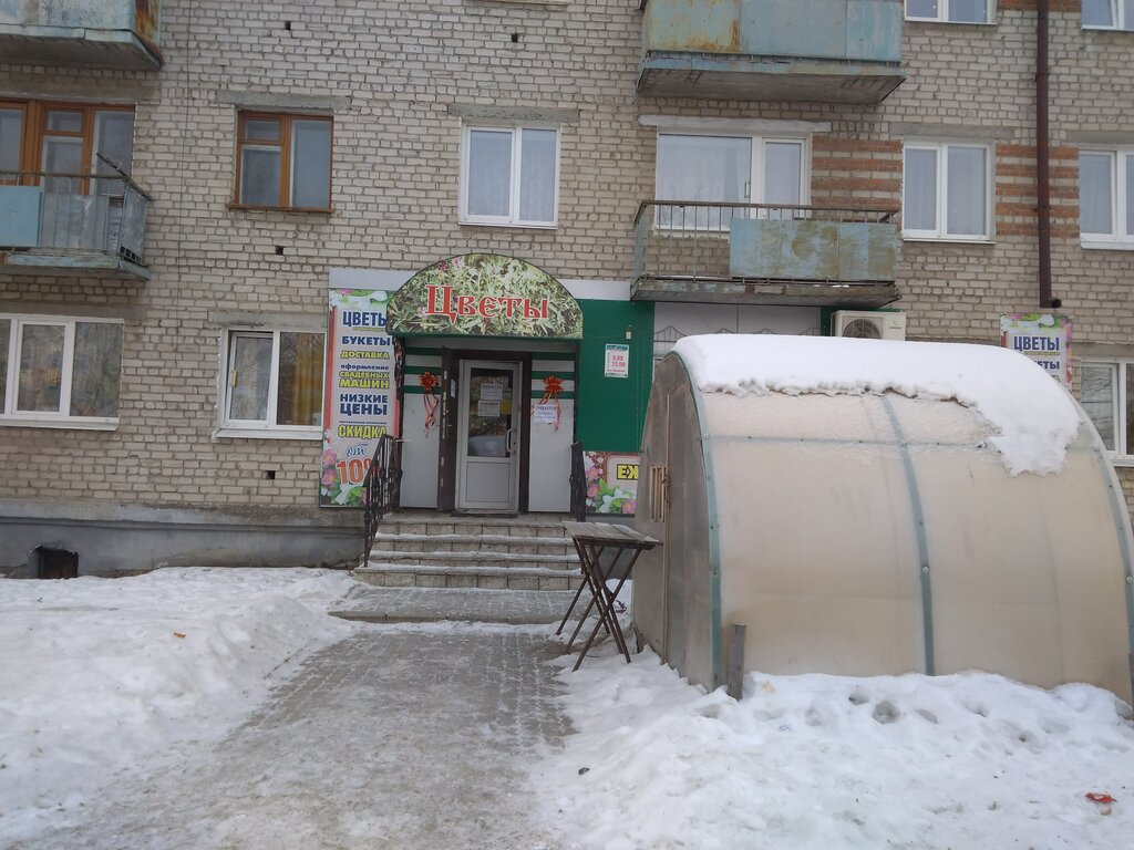 Çiçekçiler Tsvety magazin Lyzhin V. L. Ip, Alapayevsk, foto