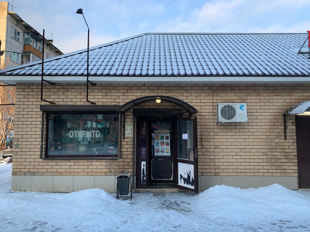 Bahçecilik mağazaları Dom i Sad, Almetyevsk (Elmet), foto