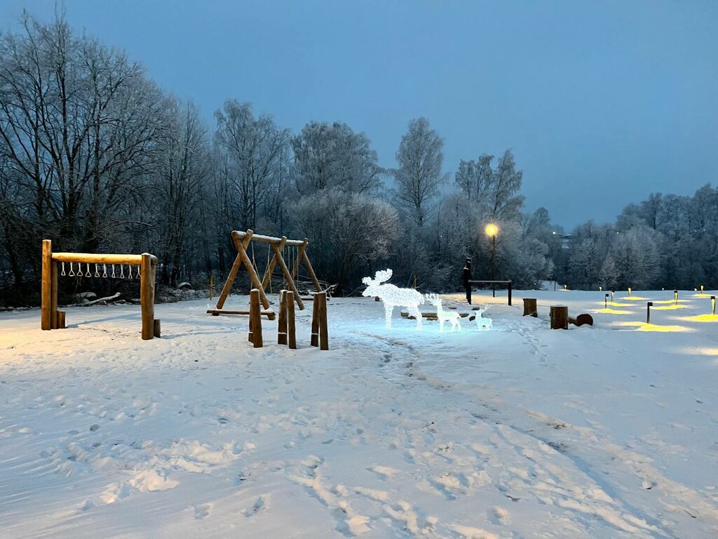 Oyun alanı Playground, Yaroslavskaya oblastı, foto
