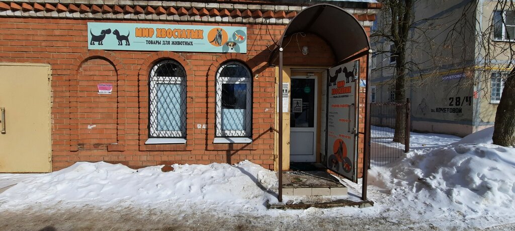 Petshop Mir khvostatykh, Kohma, foto