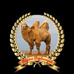 Camel Farm Silk Road (Chelyabinsk Region, Krasnoarmeyskiy rayon, Lugovskoye selskoye poseleniye), çiftlik tatili  Çeliabinskaya oblastından