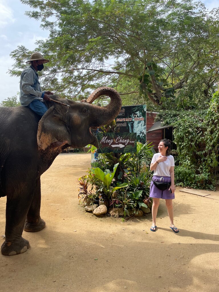 Otel Elephant Plaza Pattaya, Pattaya, foto