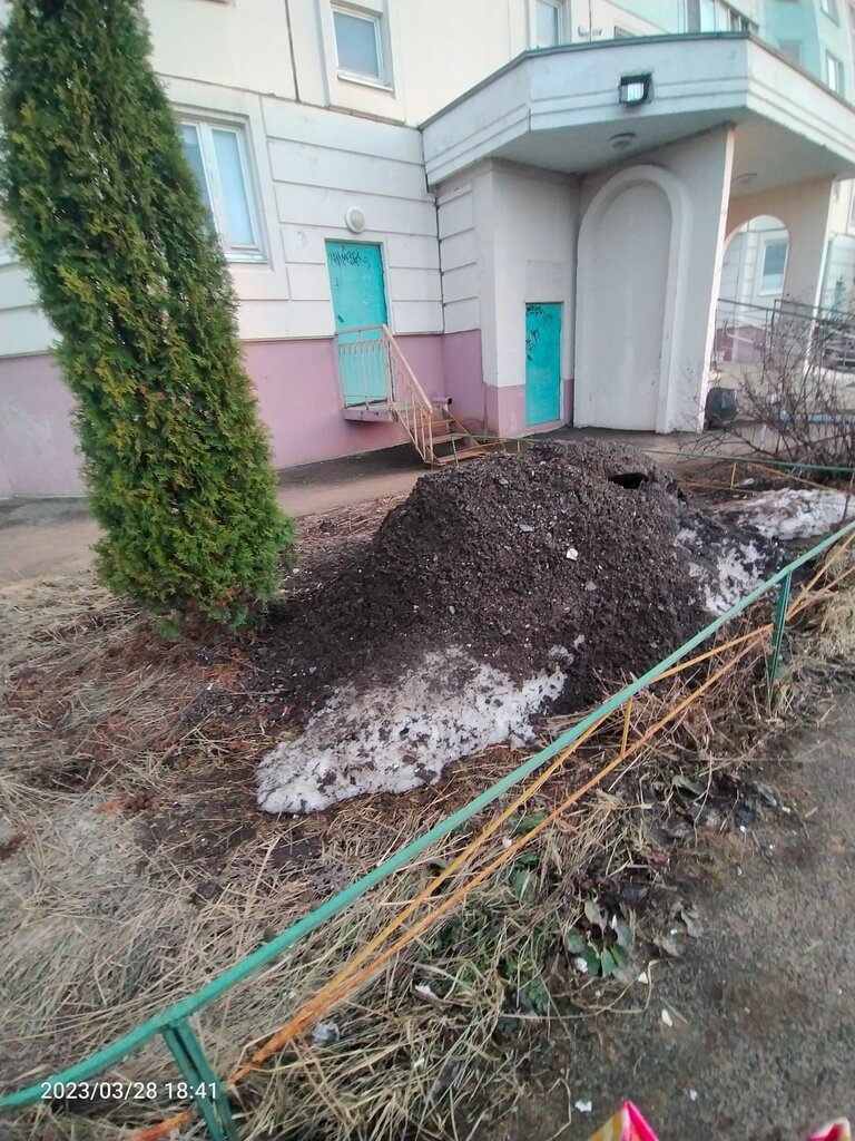 Gayrimenkul yönetimi Element, Tver, foto