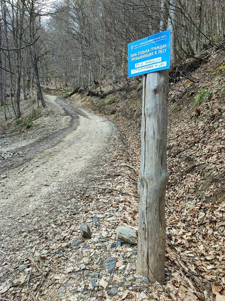 Pınar, çay Spring, stream, Soçi, foto