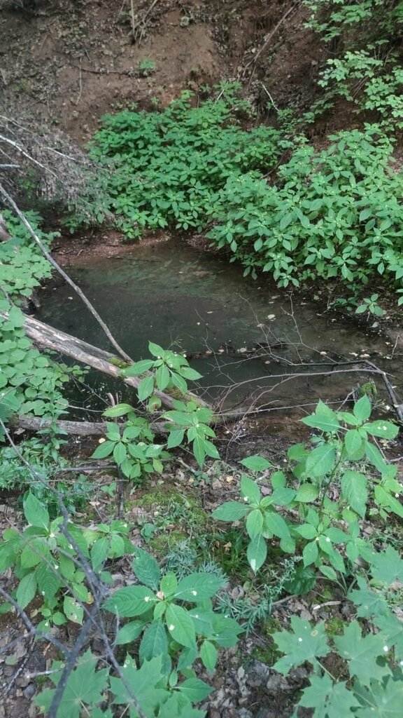 Pınar, çay Spring, stream, Tataristan, foto