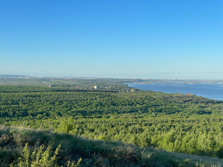 Orman Устинов лес, Saratovskaya oblastı, foto