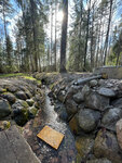 Spring, stream (Republic of Karelia, natsionalny park Ladozhskiye shkhery), pınar, çay  Karelya Cumhuriyeti'nden