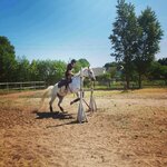 Континент (Pieršamajskaja vulica No:148), spor okulları  Kobrin'den