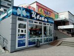 Кактус (Mira Avenue No:100), çiçekçiler  Omsk'tan