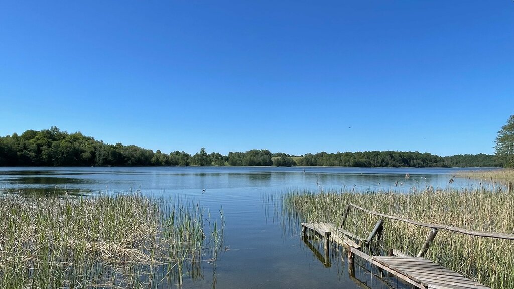 Kültür ve eğlence parkları парковый комплекс Голубов сад, Vitebskaya oblastı, foto