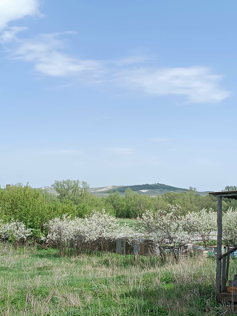 Dağ zirvesi Гора Пиче-Пандра, Saratovskaya oblastı, foto