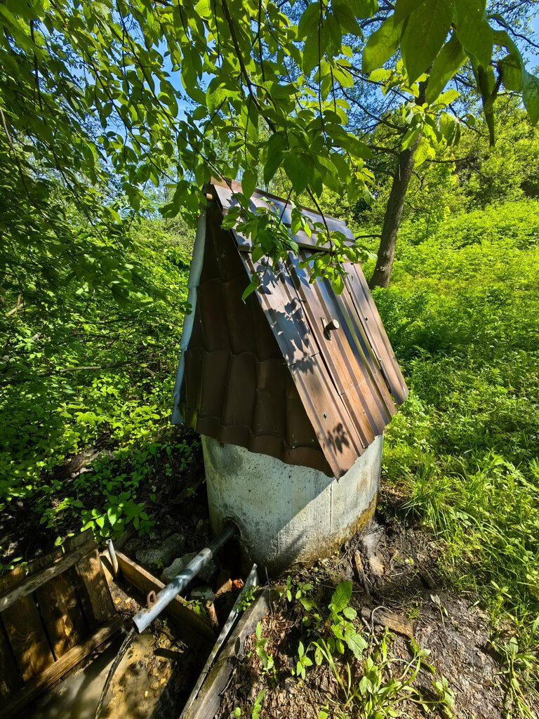 Pınar, çay Spring, stream, Moskova ve Moskovskaya oblastı, foto