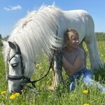Nosovskoe stables (Beryozovaya ulitsa No:10, selo Nosovskoye), at ve binicilik kulüpleri  Vologodskaya oblastından