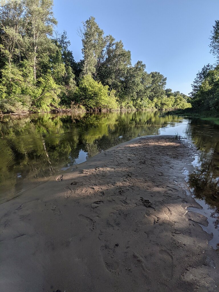 Plaj Пляж, Tambovskaya oblastı, foto