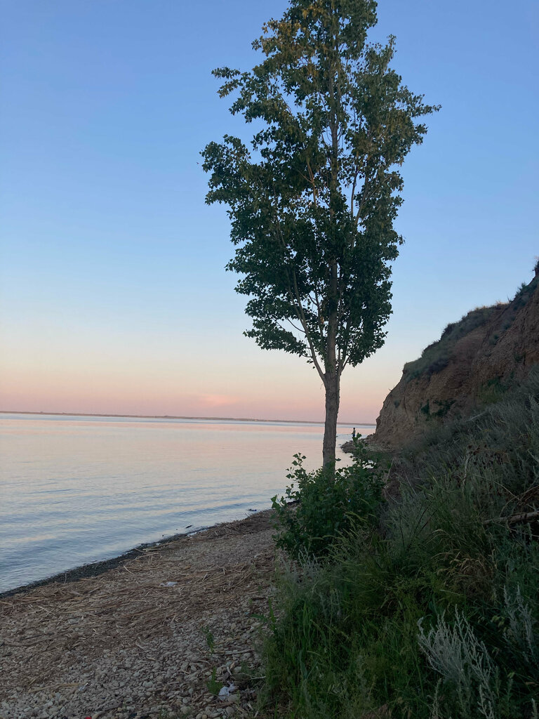 Plaj Пляж, Kamyşin, foto