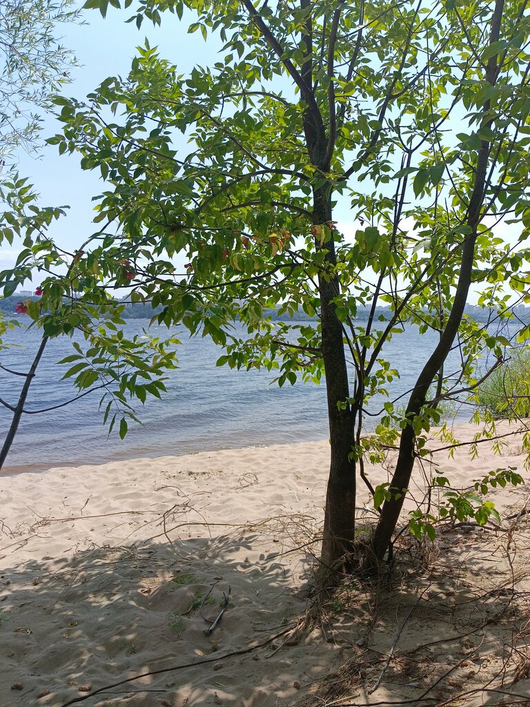 i̇skele Jetty, Samara, foto