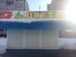 Цветы (Republic of Mari El, Yoshkar-Ola, Karla Libknekhta Street), çiçekçiler  Yoshkar‑Ola'dan