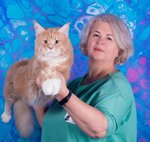Richcoon (Moskovskaya Street No:219), evcil hayvan yetiştiricileri  Yekaterinburg'dan