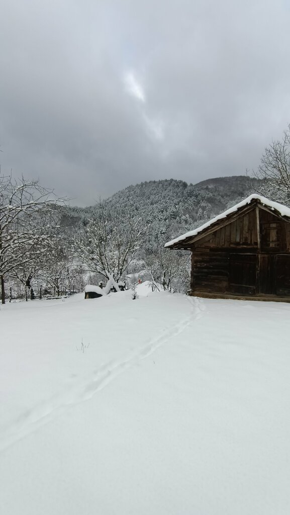 Muhtarlıklar Kayaarkası Köy Muhtarlığı, Yenice, foto