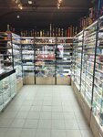 Tobacco (Molodyozhnaya Street No:10Б, mikrorayon Klimovsk), tütün, sigara mağazaları  Podolsk'tan
