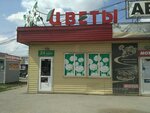 Цветы (Kosmonavtov Highway No:347А), çiçekçiler  Perm'den