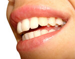 Studio Dentistico del Grazia Dr. Alessandro (Via Giacomo Leopardi No:64, Calenzano, Sesto Fiorentino), özel ağız ve diş sağlığı klinikleri ve muayenehaneleri