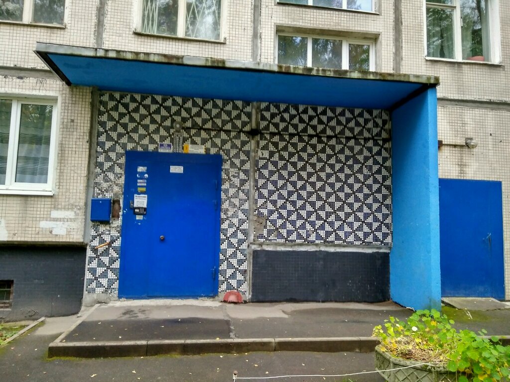 Bina, site yönetimi TSZh Ruchyevskoye, Saint‑Petersburg, foto