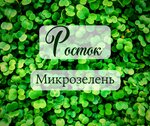 Росток (ulitsa Kirova No:23), ürün teslimatı  Smolensk'ten