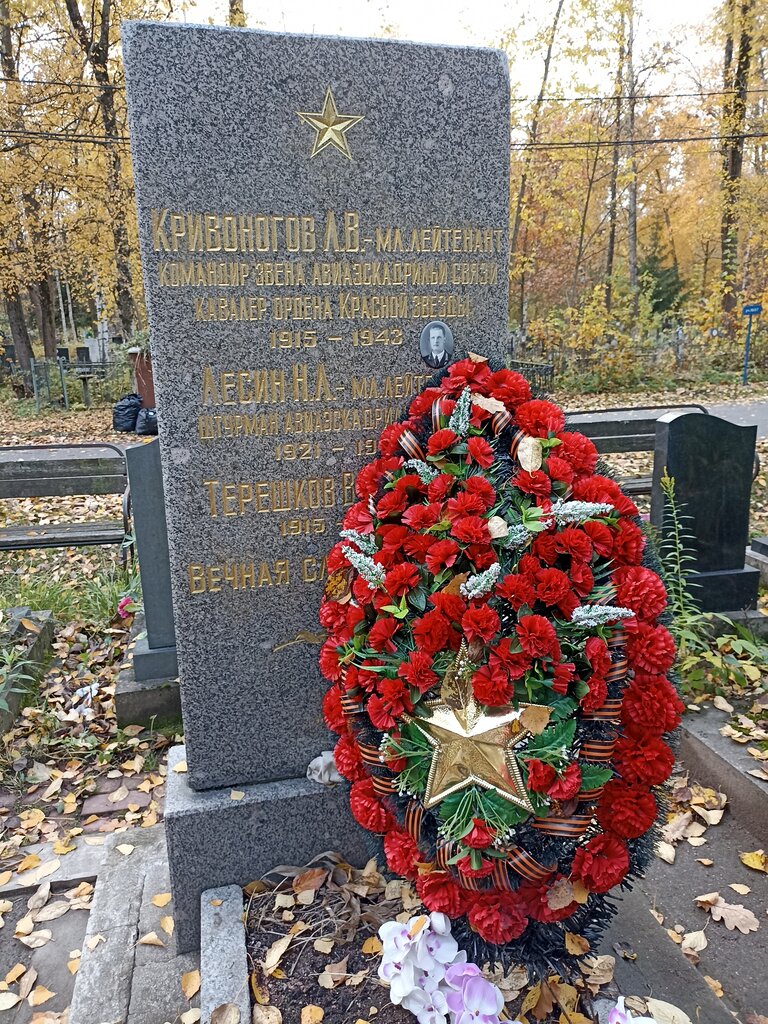Anıt, heykel Братская могила лётчиков, Saint‑Petersburg, foto