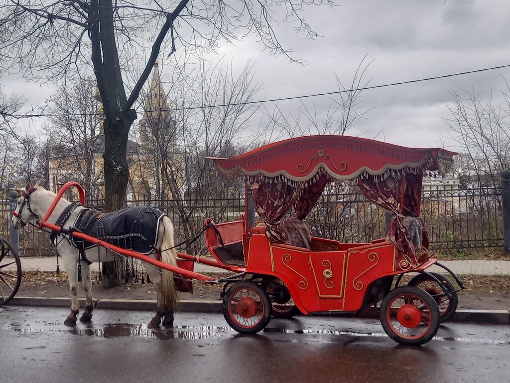 Otel U Yeleny, Suzdal, foto