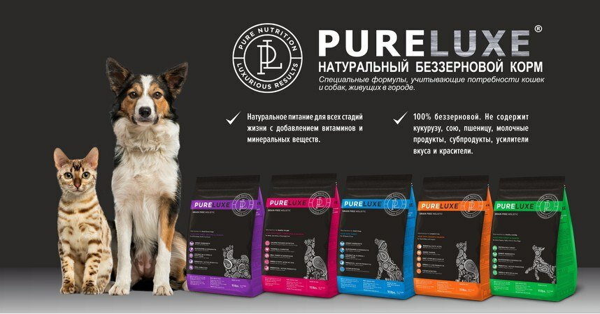 Petshop Pyos i kot, Vladikavkaz, foto
