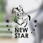 New Star (Zheleznodorozhnaya Street No:14А), binicilik ürünleri  Podolsk'tan