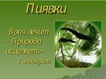 Кабинет гирудотерапии (Krasnoflotskaya Street No:30Б), uzman hizmetleri  Perm'den