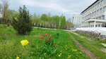 Вязниковский технико-экономический колледж (No:11, mikrorayon Dechinskiy), yüksekokul  Viazniki'den