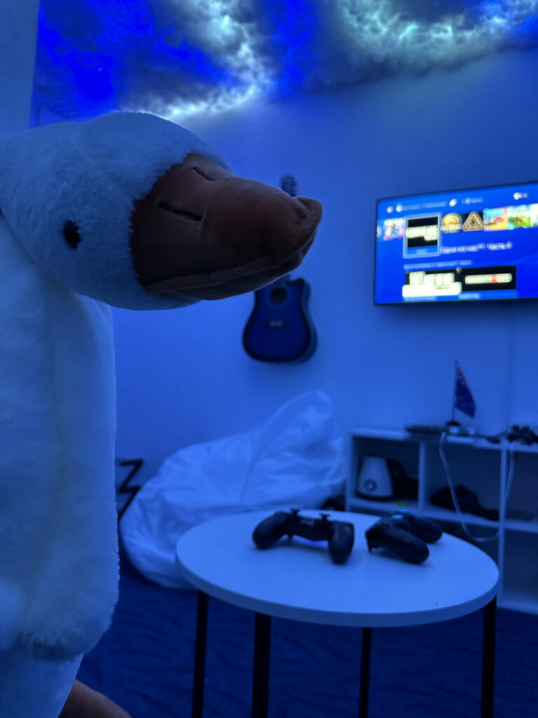 Ses kayıt stüdyoları Sb Records, Anapa, foto