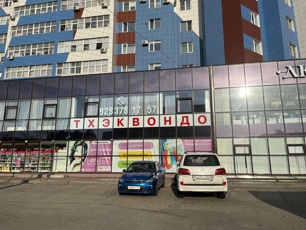 Spor kulüpleri Taekwondo Mft, Stavropol, foto