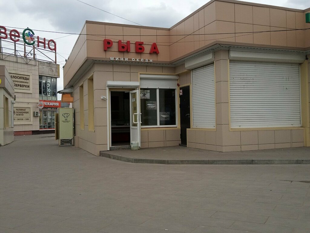 Balık ve deniz ürünleri Мини океан, Lipetsk, foto