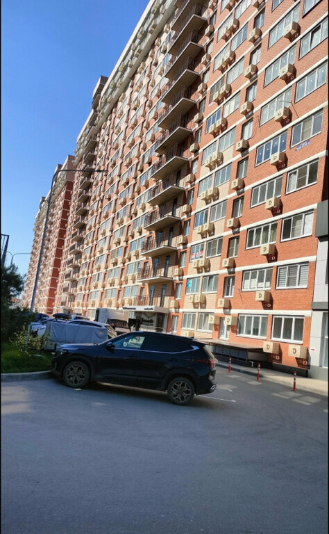Bal ve arıcılık firmaları Мёд и продукты пчеловодства, Krasnodar, foto